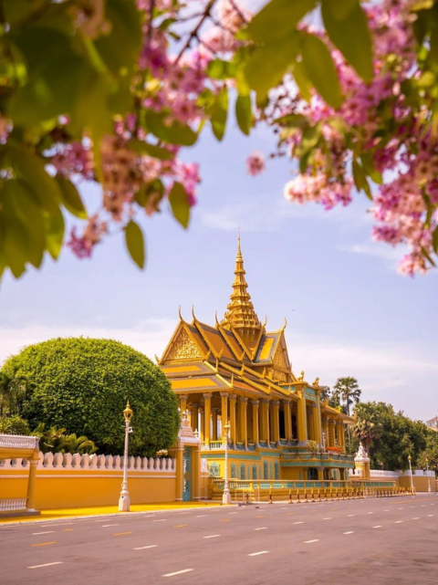 Tour Packages- Book Holiday Packages, Honeymoon Packages for Vacation ...